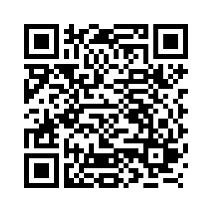 Update: Xi's speech at Central Urban Work Conference to be published-Xinhua