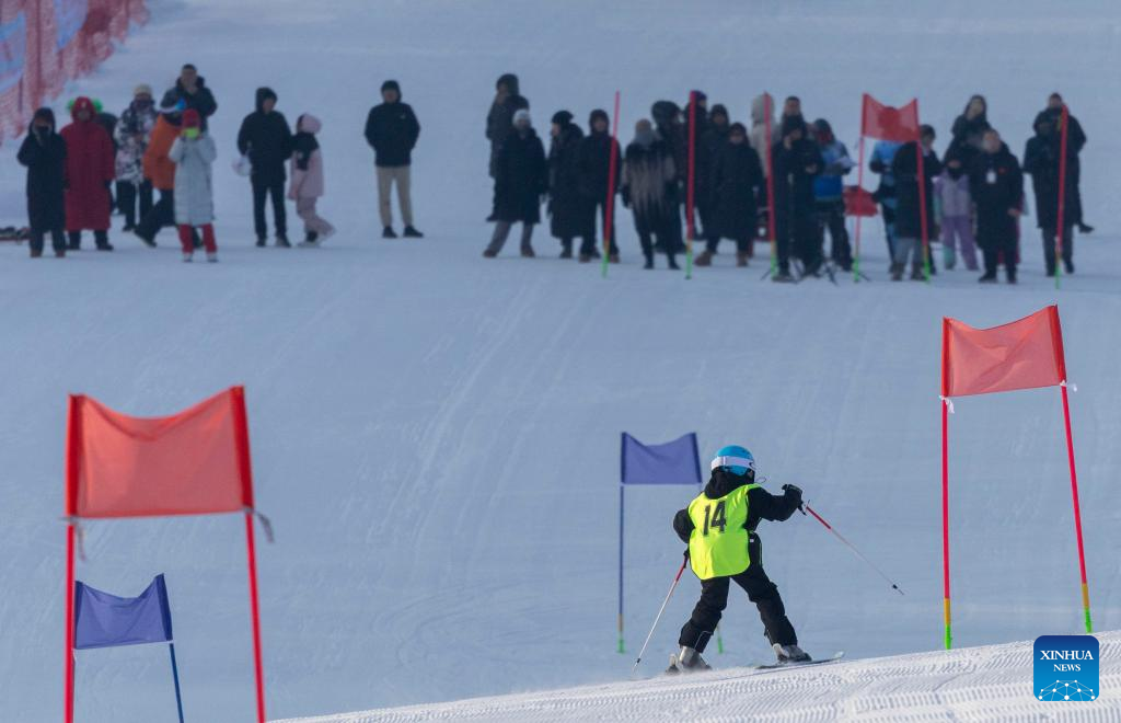 Winter activities in full swing across China-Xinhua