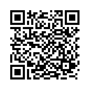 Icy conditions halt Berlin trams, snarl travel across Germany-Xinhua