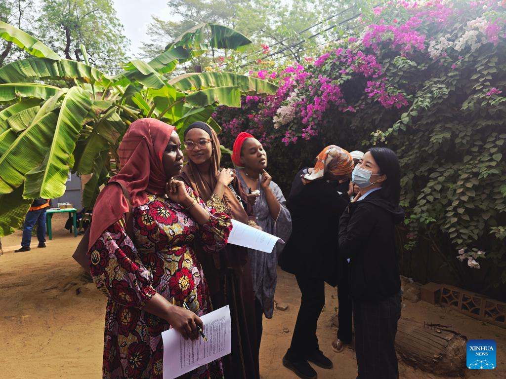Feature: Chinese medical team brings health care to women in Niger-Xinhua