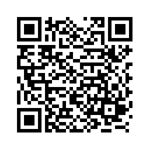 Xinhua Middle East news summary at 2200 GMT, Jan. 31-Xinhua