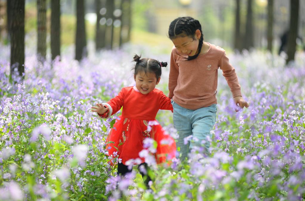 People across China enjoy spring view during Qingming Festival-Xinhua