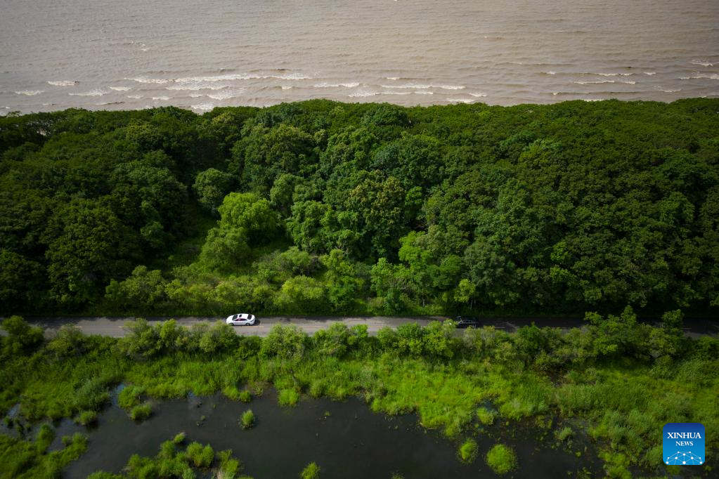 Scenery of Xingkai Lake National Nature Reserve in NE China-Xinhua