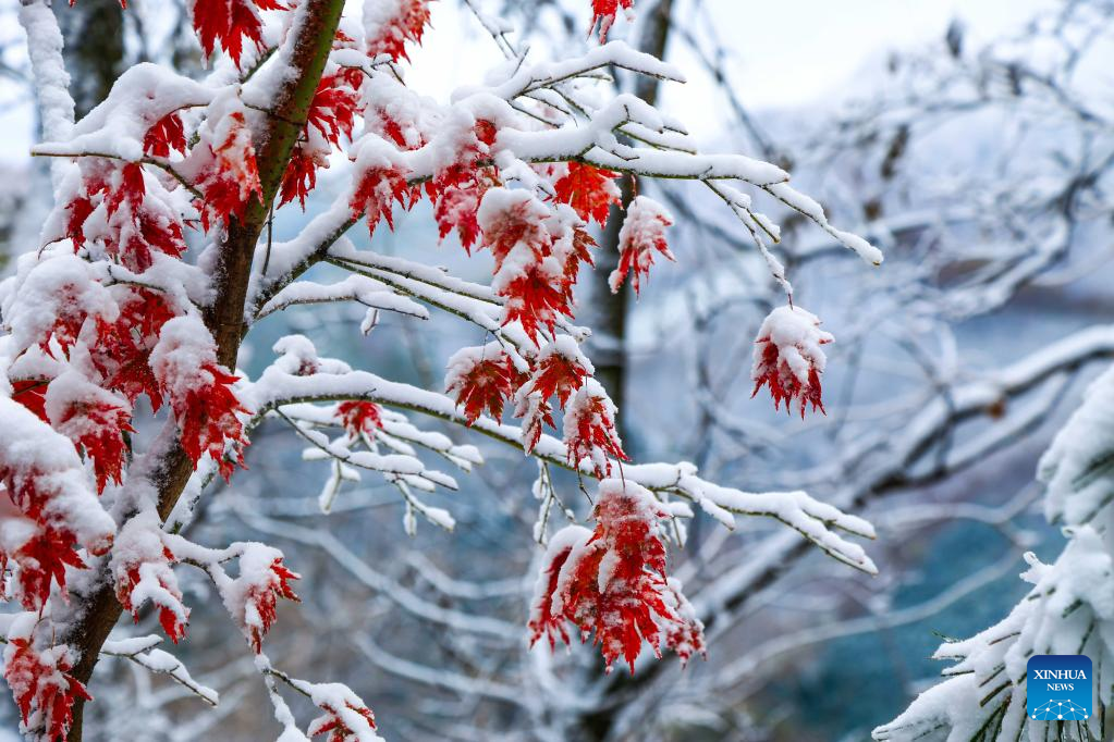 Snow scenery of Tianqiaogou forest park in NE China's Liaoning-Xinhua