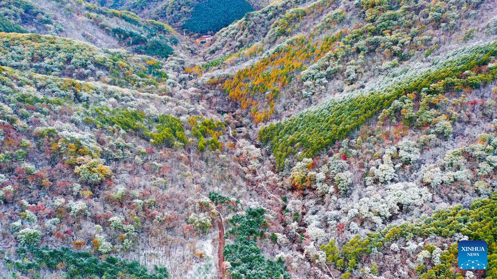 Snow scenery of Tianqiaogou forest park in NE China's Liaoning-Xinhua
