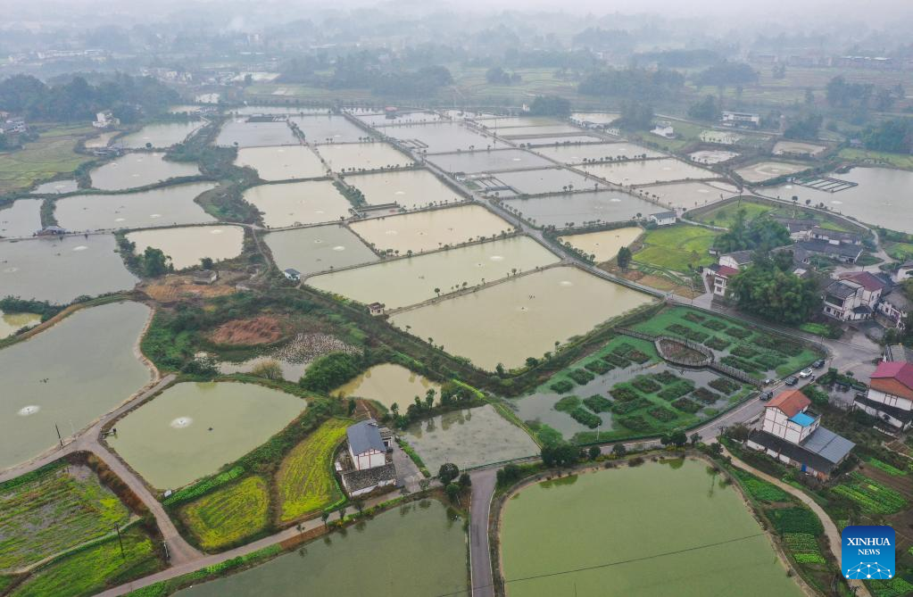 Scenery of Shuanggui Lake national wetland park in SW China's Chongqing ...