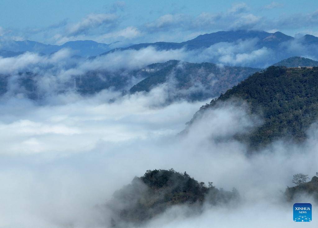 Advection fog on Guling Hill, SE China-Xinhua