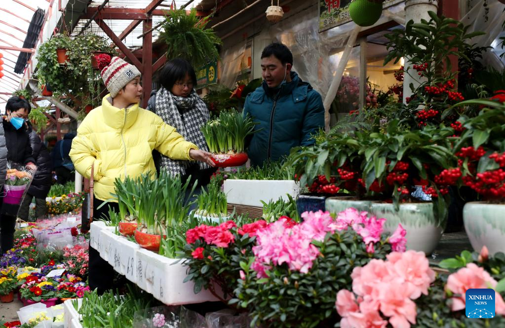 People in Shanghai prepare for Spring Festival-Xinhua