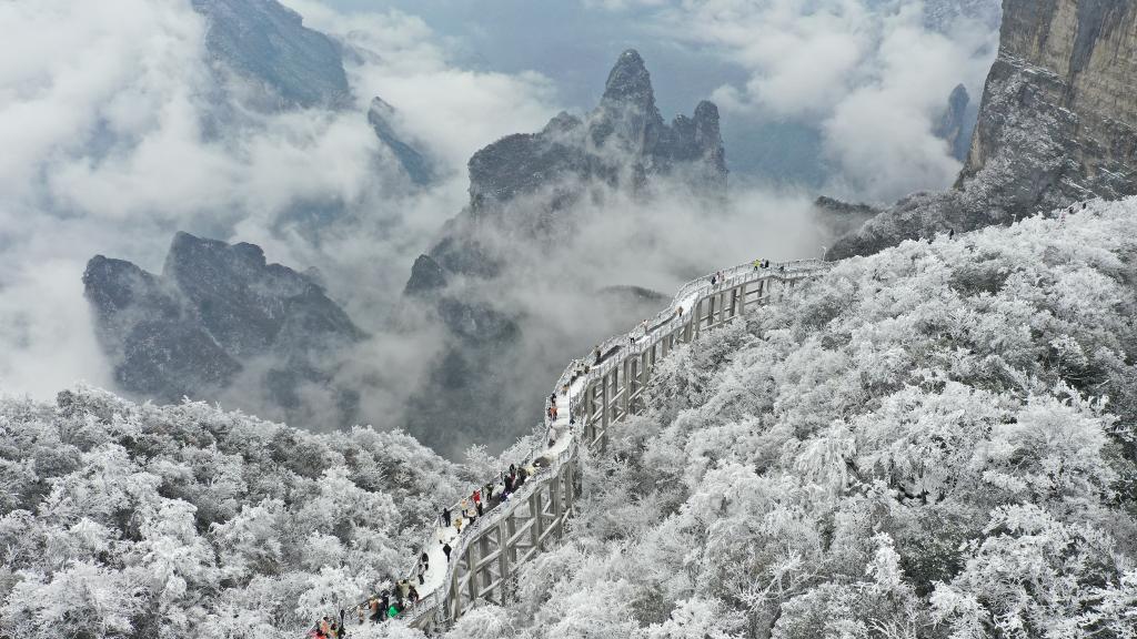 In pics: snow scenery across China-Xinhua
