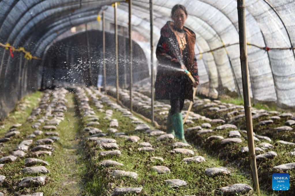 Spring farming underway across China-Xinhua
