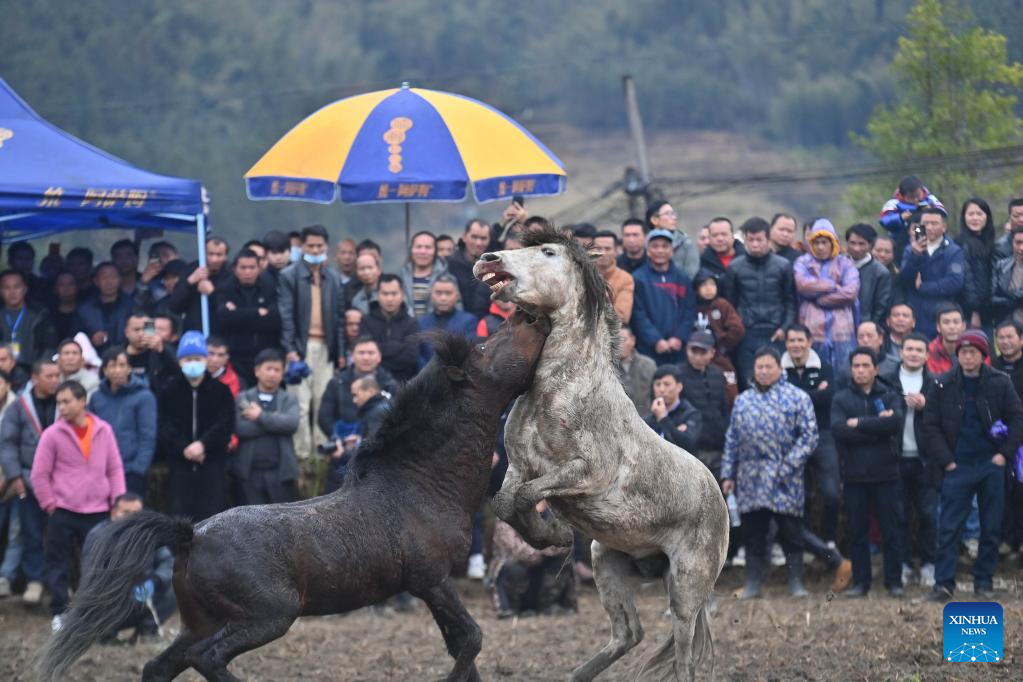 Various activities held to celebrate "pohui" festival in S China's ...