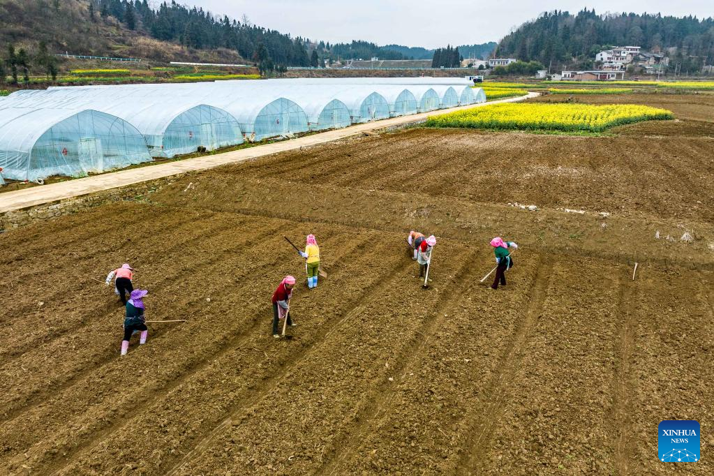 Spring farming underway across China-Xinhua