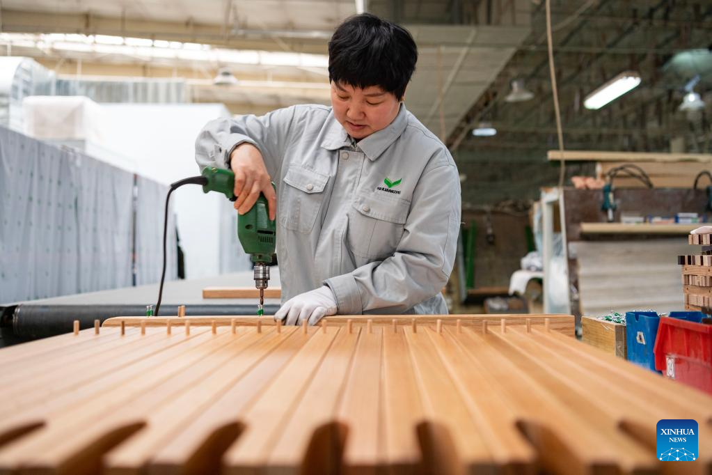 Female workers in NE China play active role in various workplaces-Xinhua