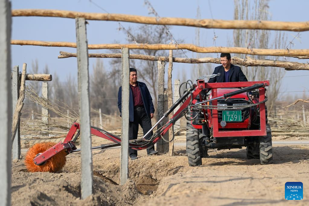 China Focus: Cooperatives facilitate rural revitalization in Xinjiang ...
