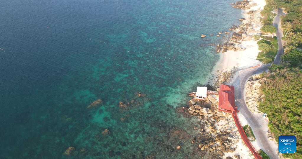 Marine ranch helps promote protection, restoration of marine ecosystem ...