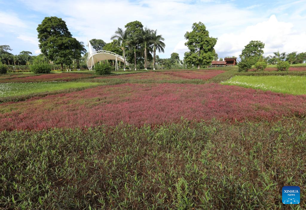 View of Malabo National Park in Equatorial Guinea-Xinhua