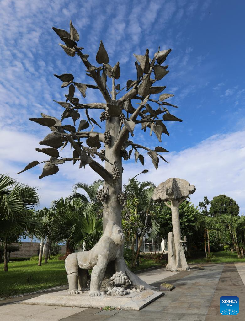 View of Malabo National Park in Equatorial Guinea-Xinhua