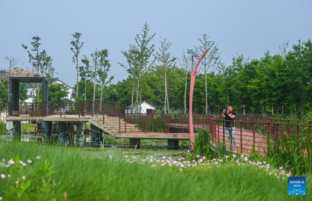 Villages in east China focus on green and sustainable development-Xinhua