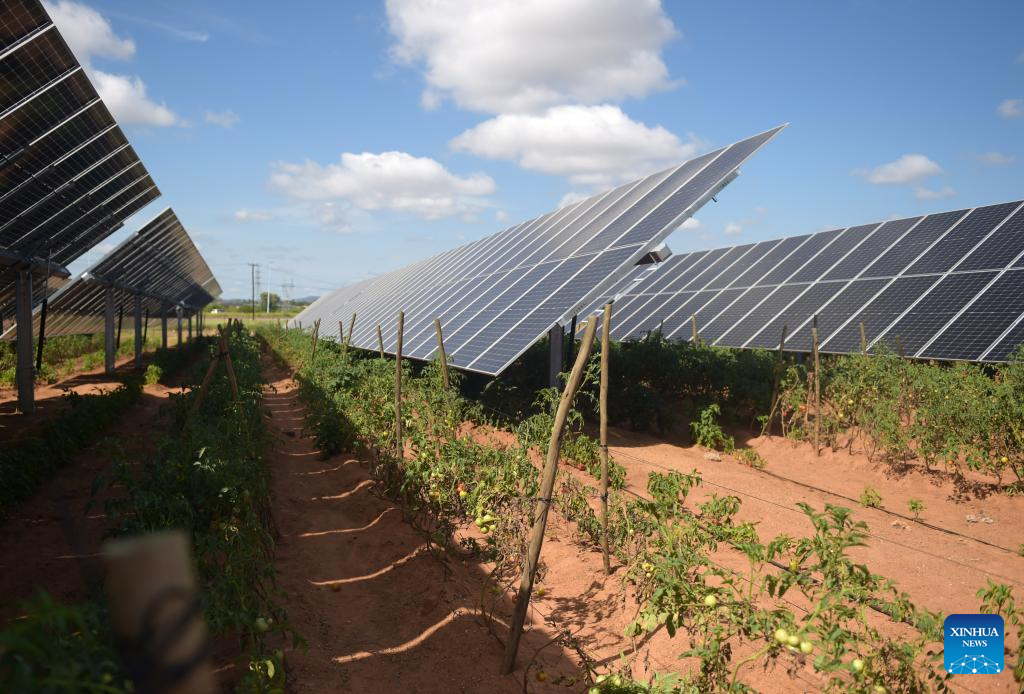 Botswana's bank launches green energy transition project for ...