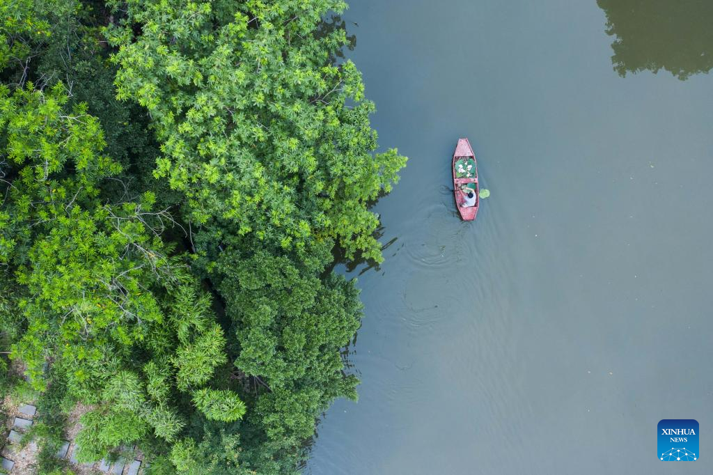 Donglin Town in E China focuses on green, sustainable development-Xinhua