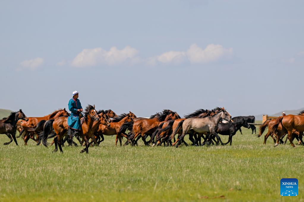 Hulun Buir grassland culture and tourism festival kicks off-Xinhua