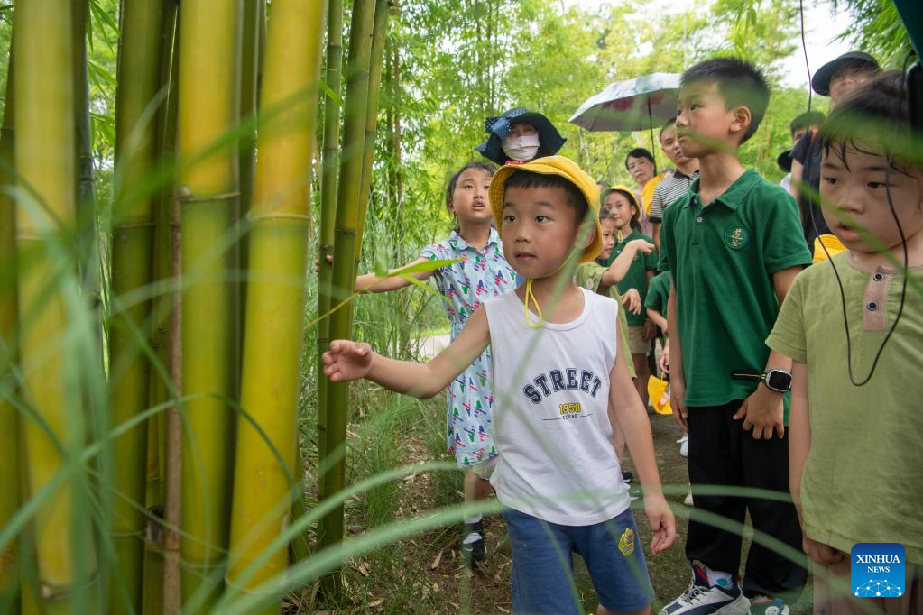 People visit Guangyang Isle for ecological education tour in SW China's ...