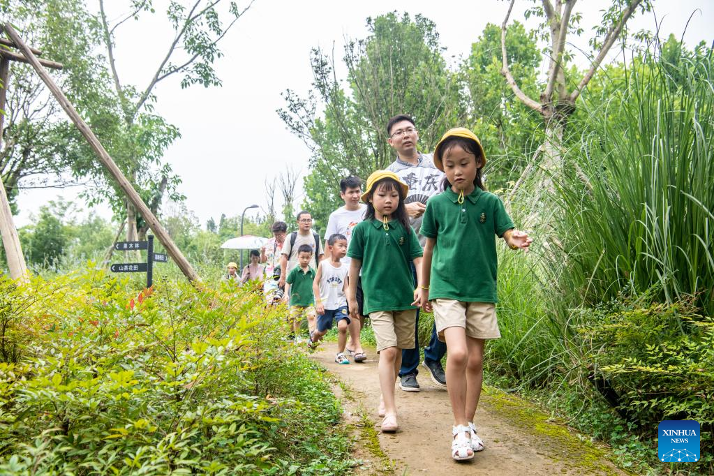 People visit Guangyang Isle for ecological education tour in SW China's ...