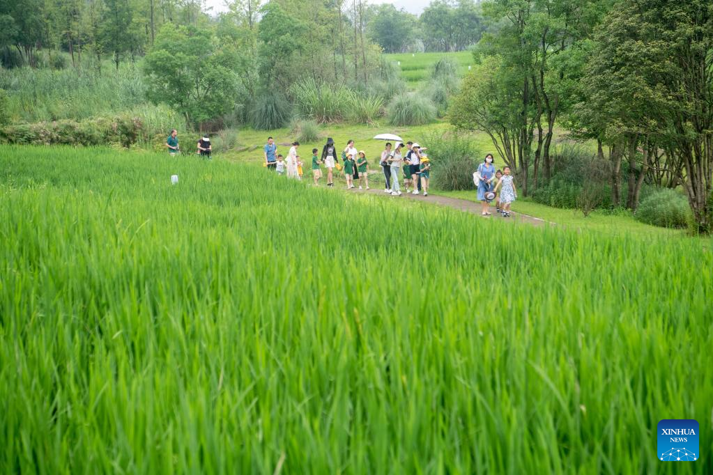 People visit Guangyang Isle for ecological education tour in SW China's ...