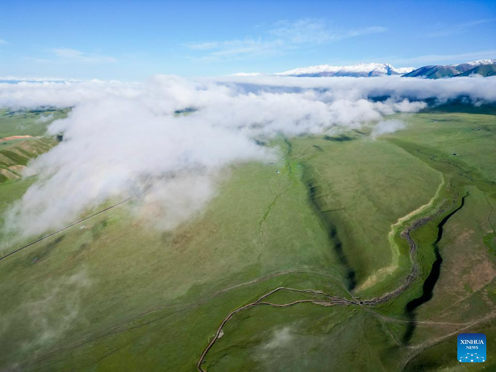 Scenery of Bayan Bulag grassland in Hejing County, NW China-Xinhua