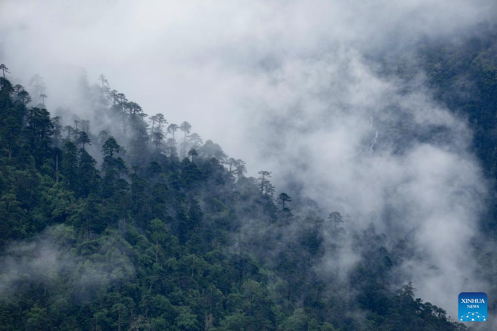Summer scenery of Shannan city in Tibet-Xinhua