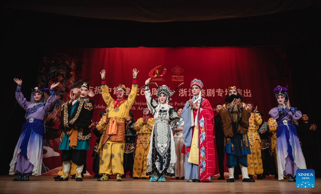 Feature: China's local opera troupe stages performance in Nairobi amid ...