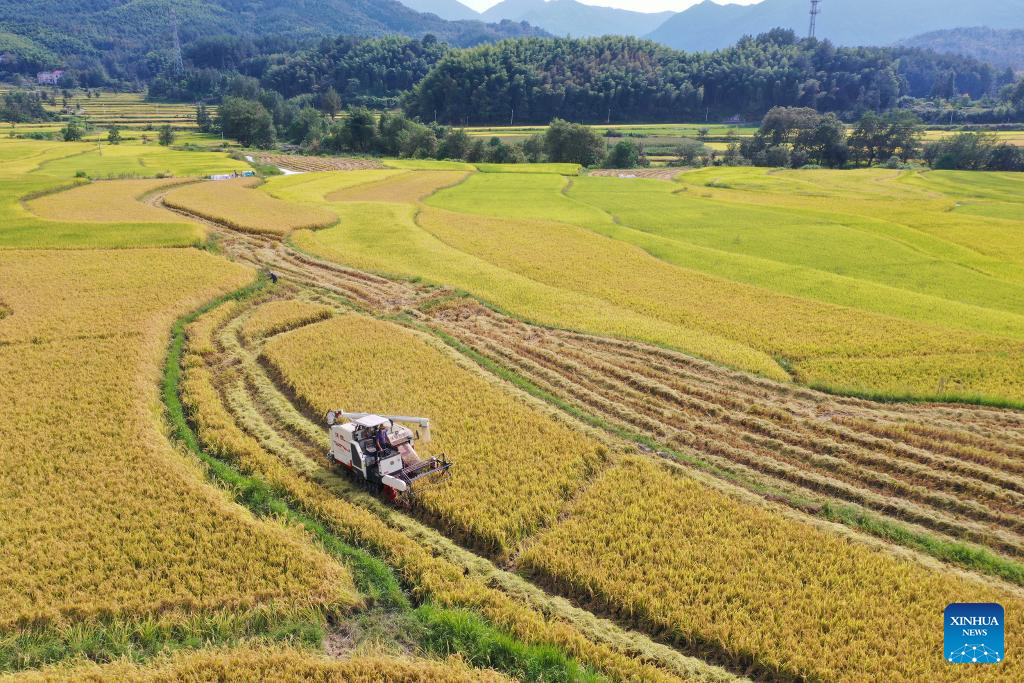 View of terraced fields in Baidi Town, E China's Anhui-Xinhua