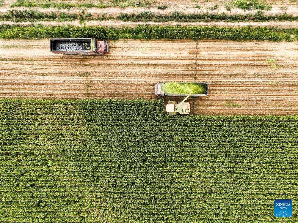 Hetao Irrigation Area sees continuous sustainable development in ...