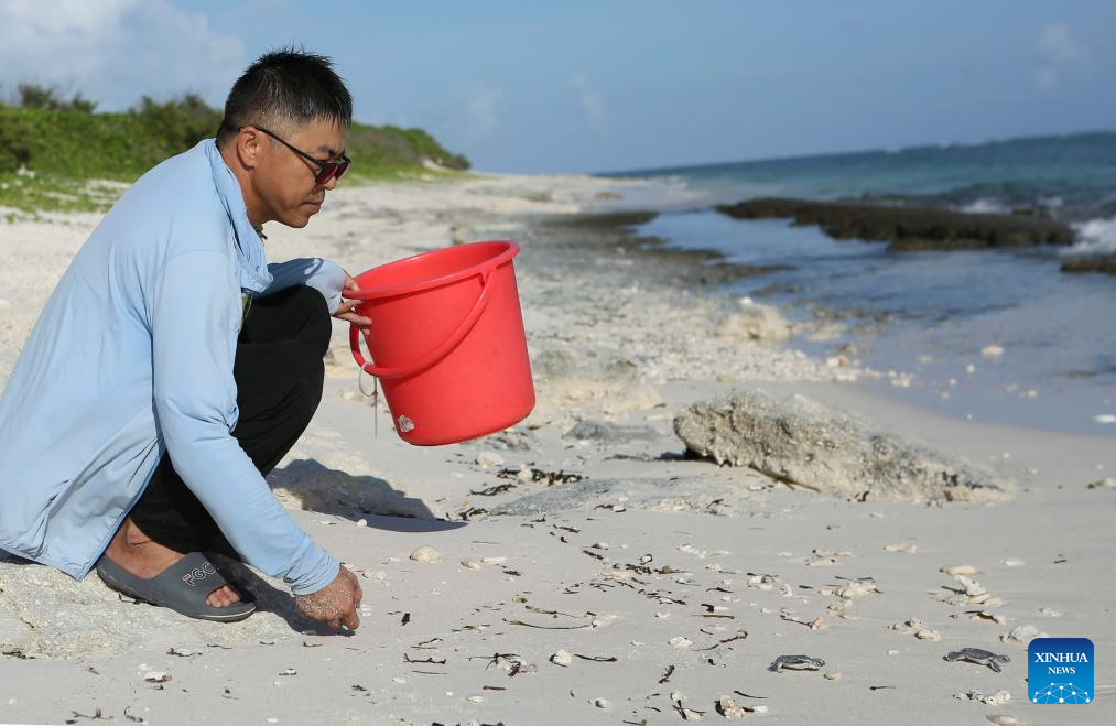 Pic story: fishermen devoted to turtle protection in Hainan-Xinhua
