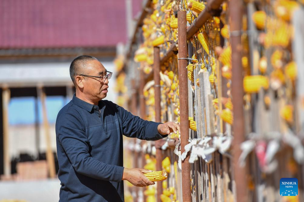 Autumn harvest across China-Xinhua