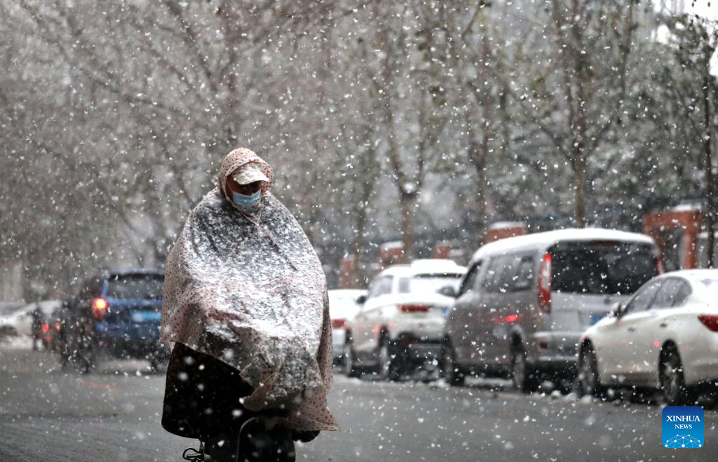 NE China sees snowfall-Xinhua