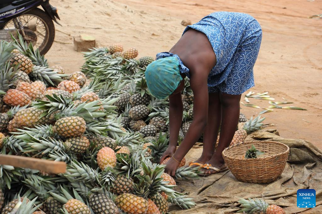 (CIIE) Feature: CIIE opens vast market for Benin's pineapples-Xinhua