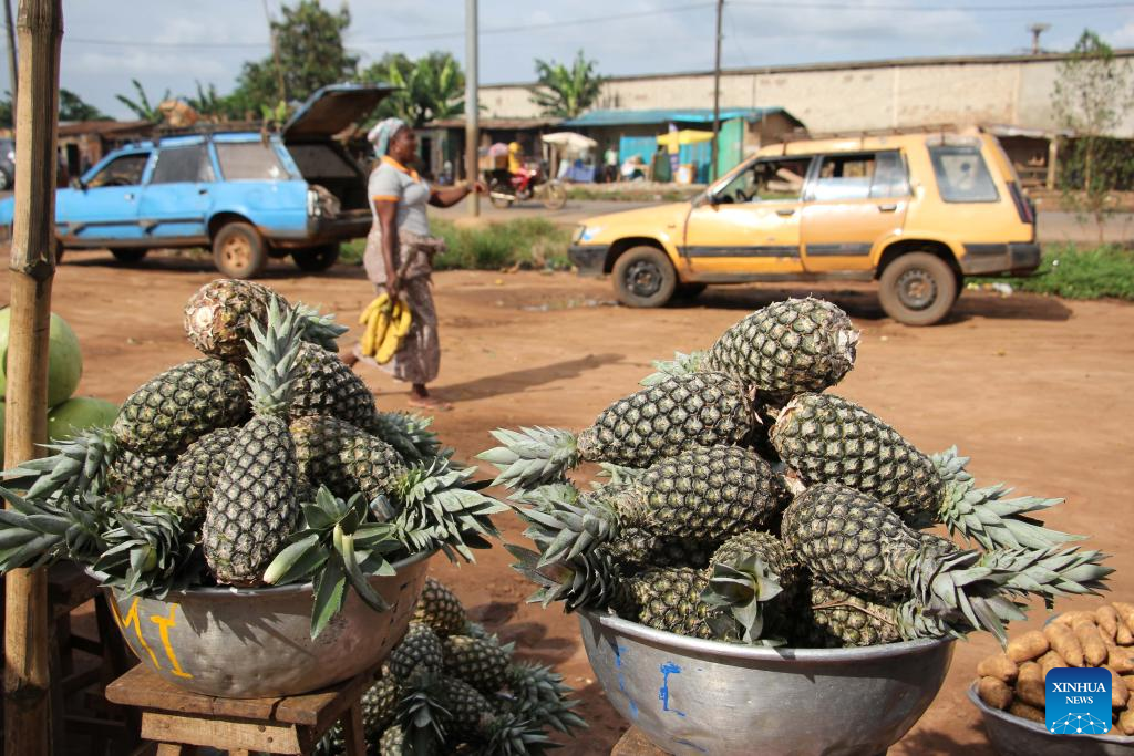 (CIIE) Feature: CIIE opens vast market for Benin's pineapples-Xinhua