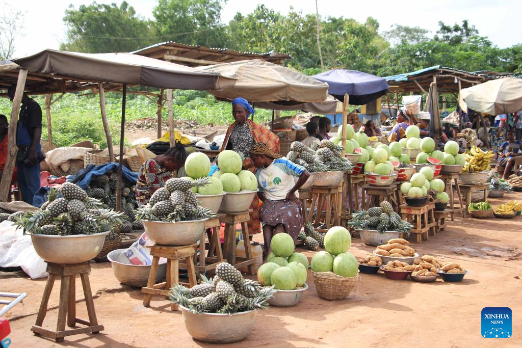 (CIIE) Feature: CIIE opens vast market for Benin's pineapples-Xinhua