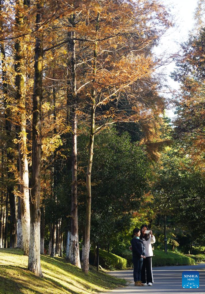 In pics: Meiling national forest park in Nanchang, E China-Xinhua
