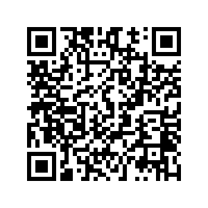 Feature: Refugees turn trash into treasure at Dukwi Camp in Botswana-Xinhua