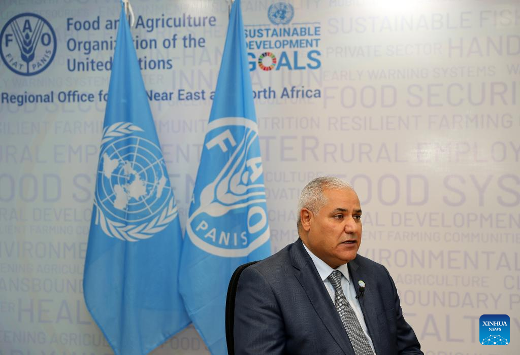 Interview: Sudan's deepening hunger crisis requires immediate ...