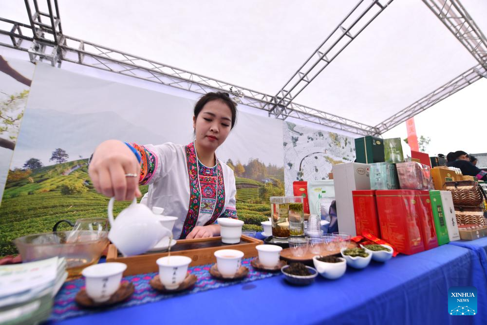 Event promoting tea culture kicks off in Guangxi, south China-Xinhua