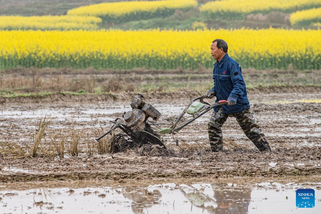 Spring farming underway across China-Xinhua