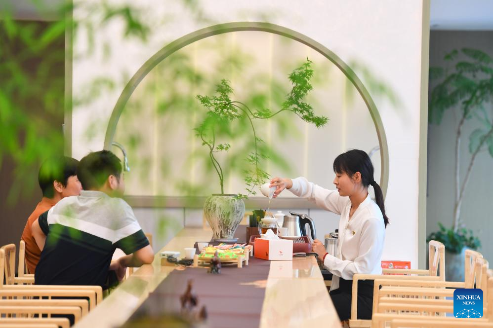 SE China's Fujian develops tea industry to increase local villagers ...