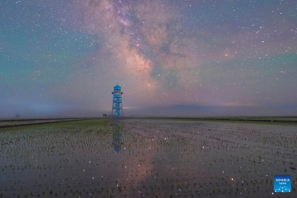Night view of paddy fields in Heilongjiang, NE China-Xinhua