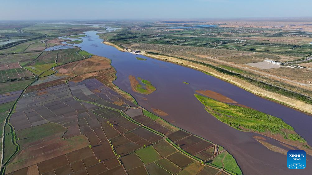 Scenery of paddy fields along Yellow River in Yinchuan, NW China-Xinhua