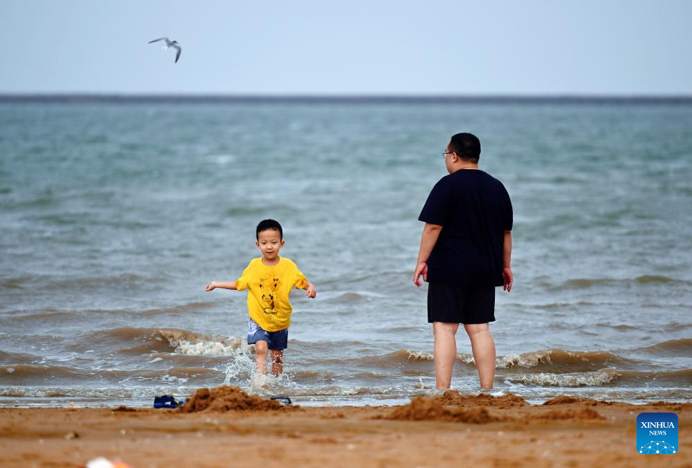 View of Binhai New Area in Tianjin-Xinhua
