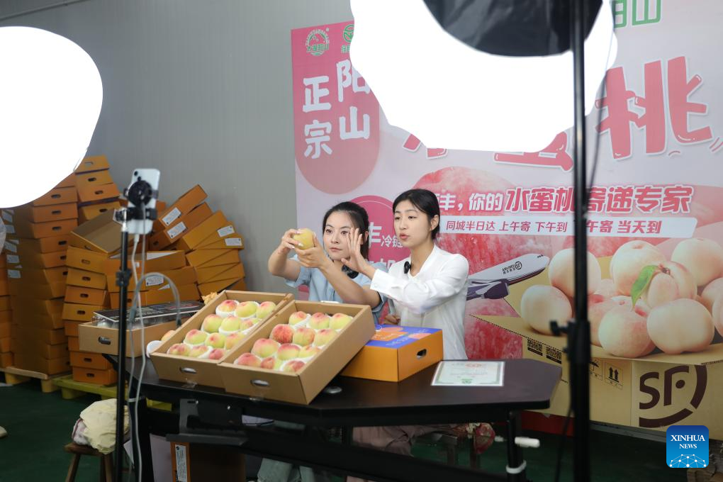 Across China: Tech-cultivation makes life, work peachy in east China-Xinhua
