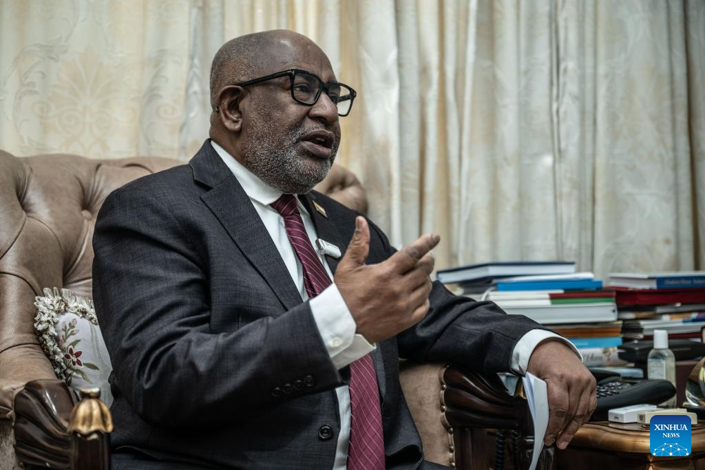 (FOCAC) Interview: Africa's partnership with China example for Global ...